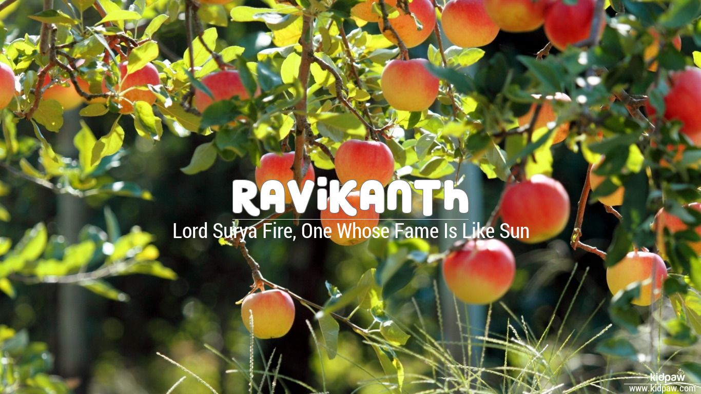 रविकांत | Ravikanth Name Meaning in Hindi & English, Rashi, Nakshatra ...