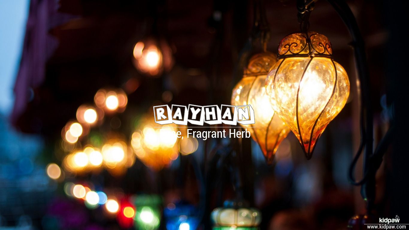 Rayhan Name Meaning in English & Urdu, Origin, Luck Number