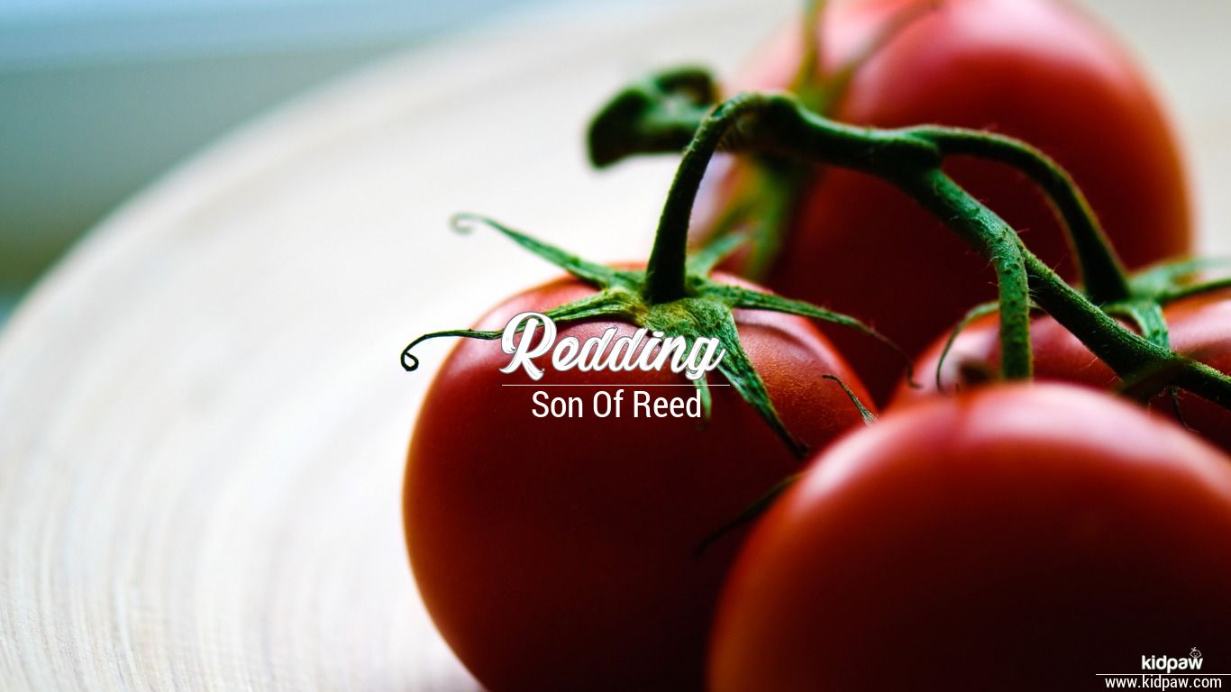 Redding 3D Name Wallpaper for Mobile, Write Name on Photo Online