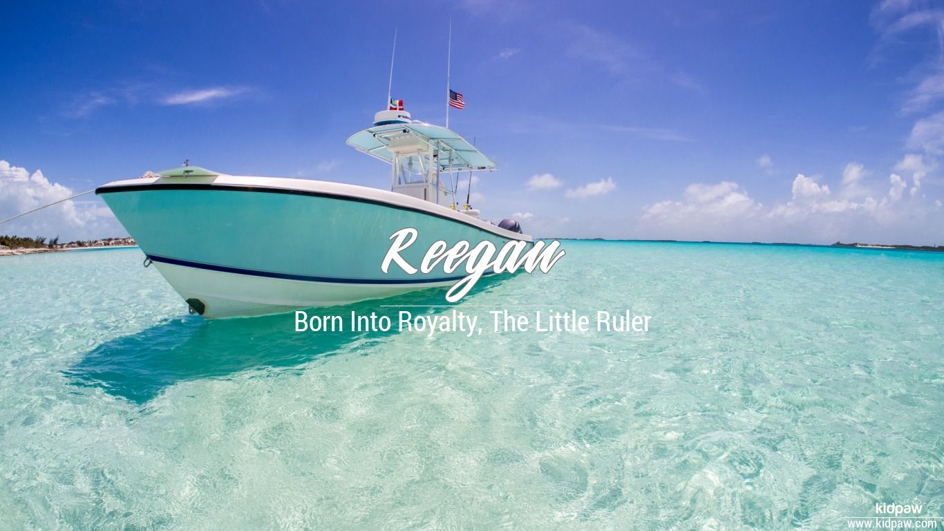 Reegan 3D Name Wallpaper for Mobile, Write Name on Photo Online