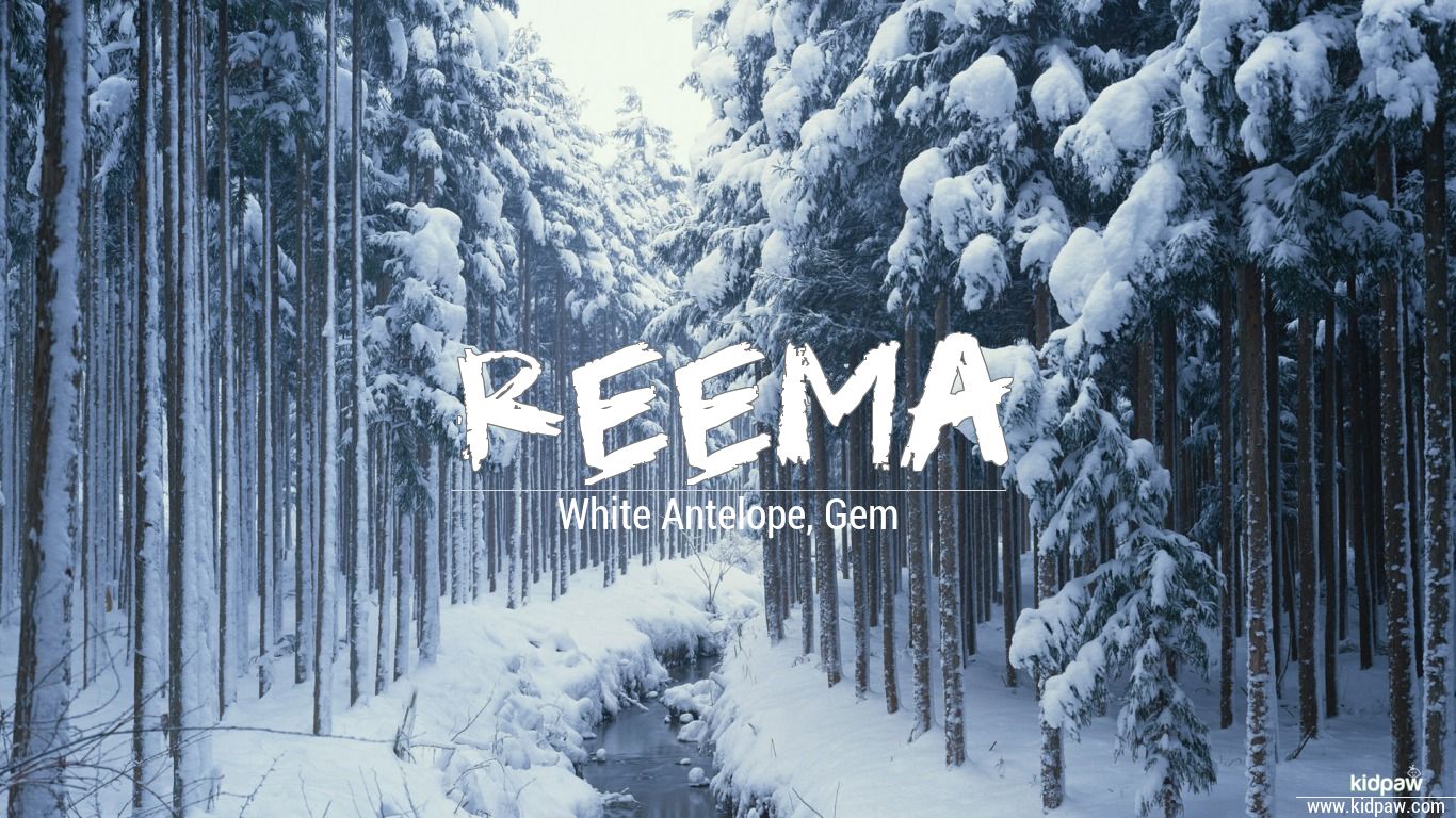 Reema 3D Name Wallpaper for Mobile, Write ريما Name on Photo Online