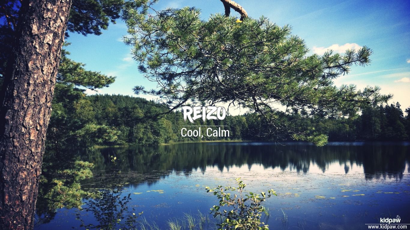 Reizo 3D Name Wallpaper for Mobile, Write Name on Photo Online