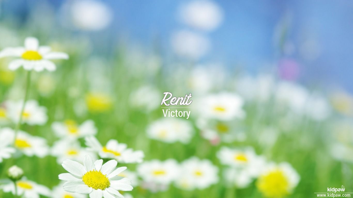 Renit 3D Name Wallpaper for Mobile, Write रेनित Name on Photo Online