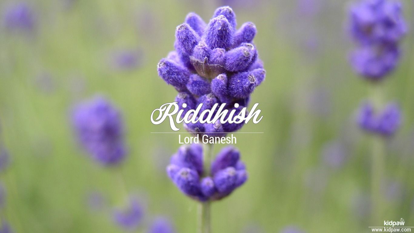 Riddhish 3D Name Wallpaper for Mobile, Write रीद्धीश Name on Photo Online
