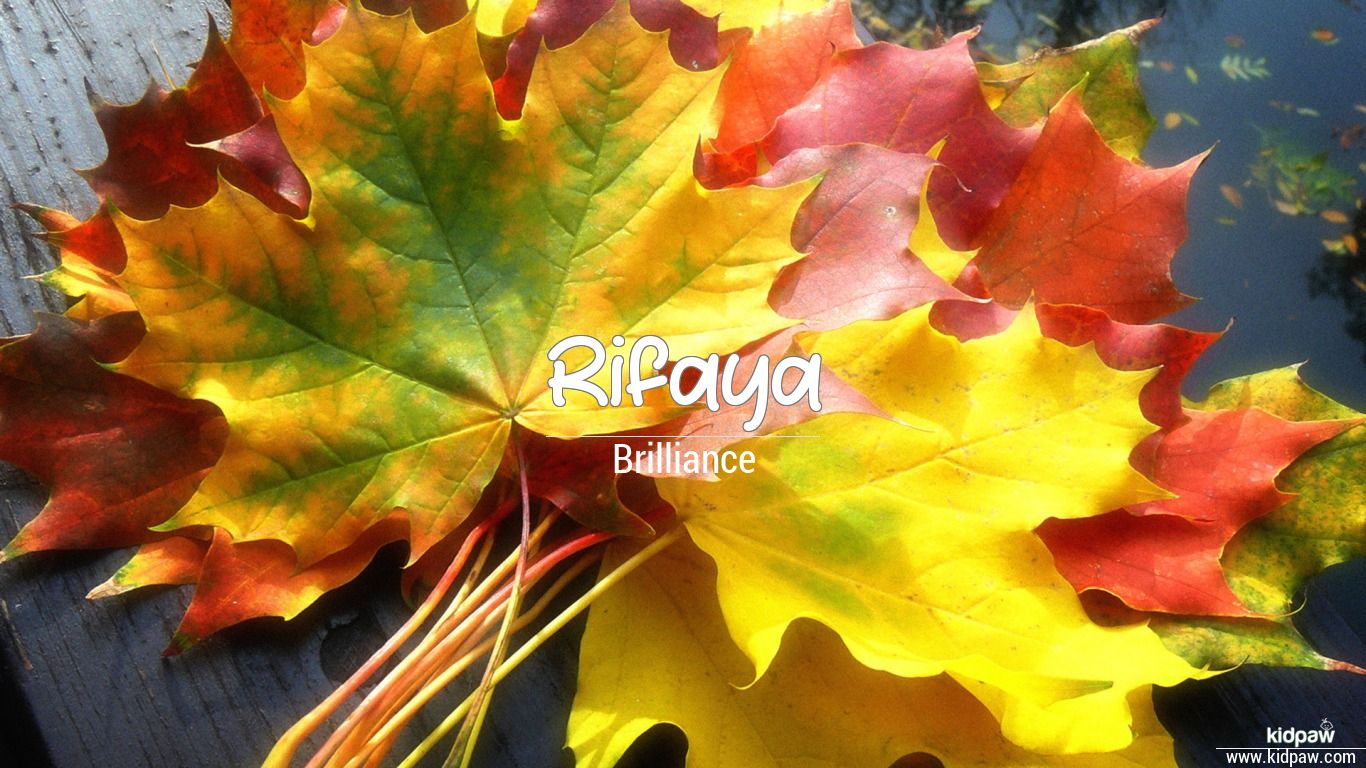Rifaya Name Meaning in English & Urdu, Origin, Luck Number