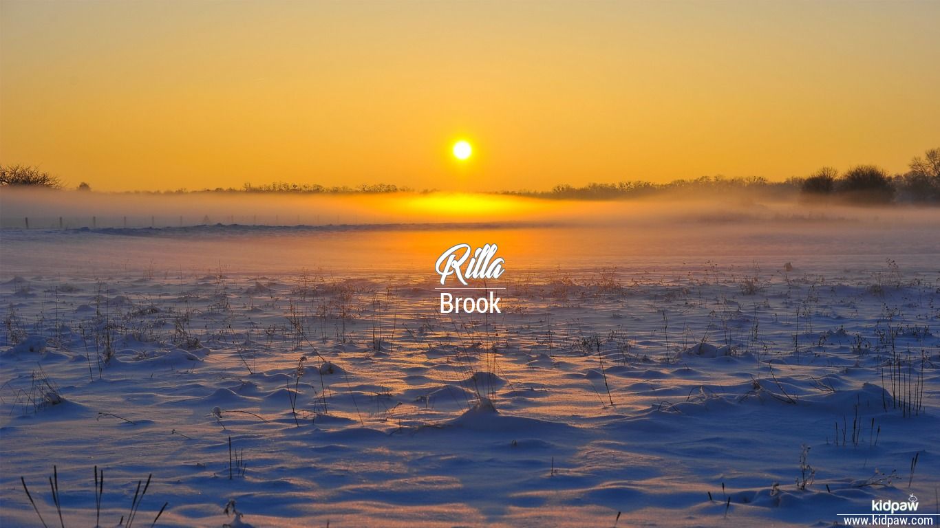 Rilla 3D Name Wallpaper for Mobile, Write Name on Photo Online