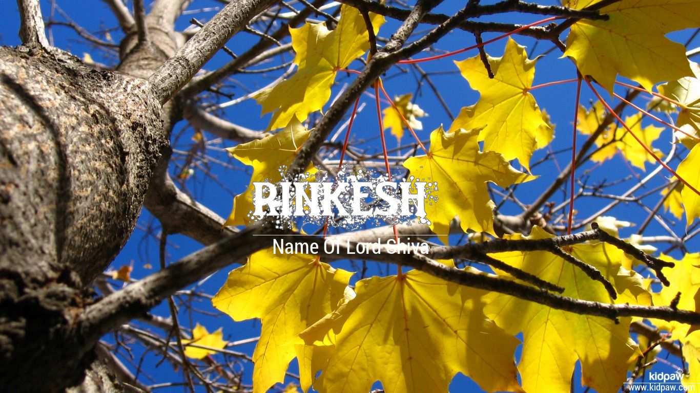 Rinkesh 3D Name Wallpaper for Mobile, Write रीन्केश Name on Photo Online