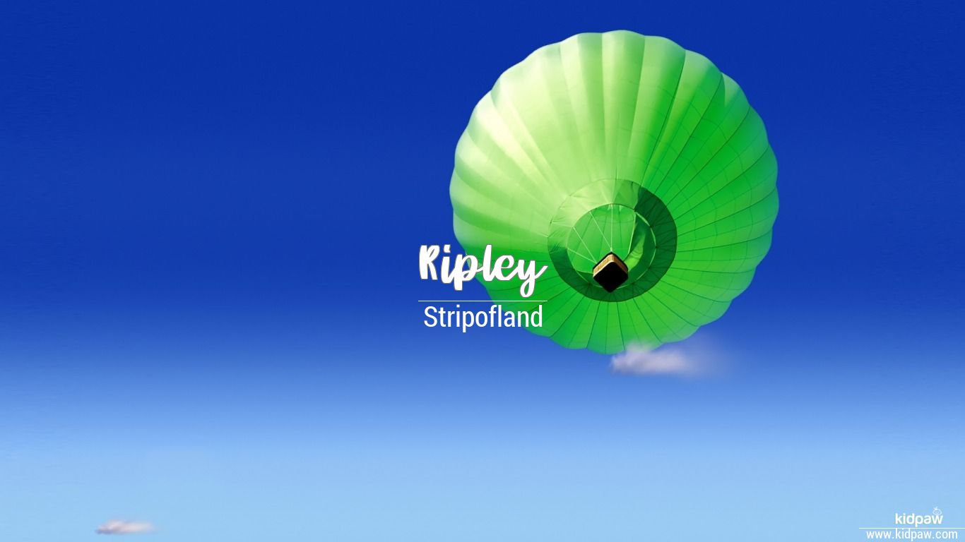 Ripley 3D Name Wallpaper for Mobile, Write Name on Photo Online