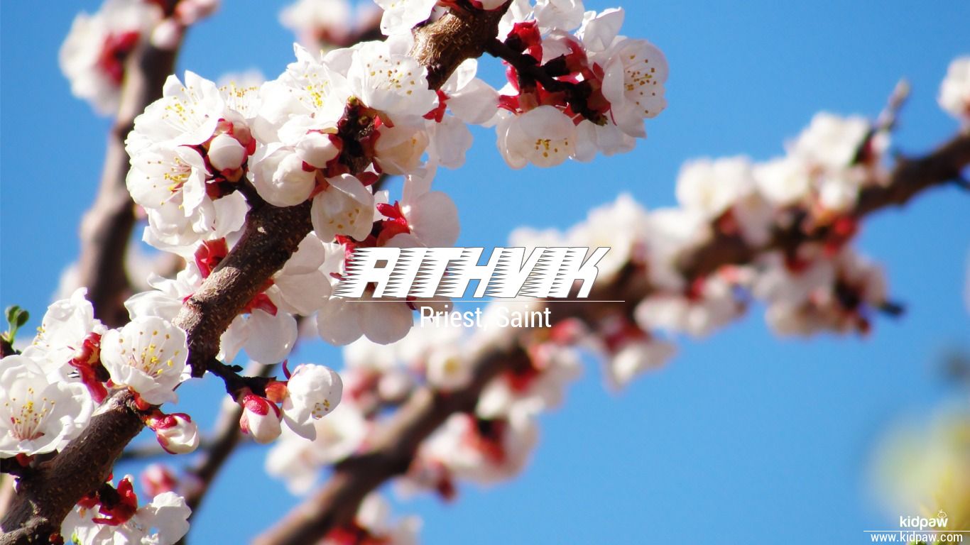 Rithvik 3D Name Wallpaper for Mobile, Write रीथ्विक Name on Photo Online