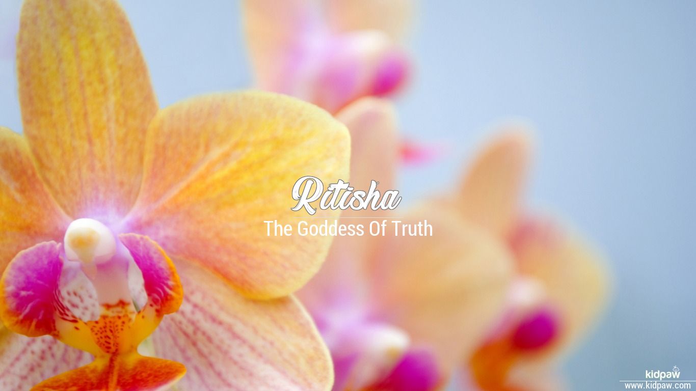 Ritisha 3D Name Wallpaper for Mobile, Write रितिषा Name on Photo Online