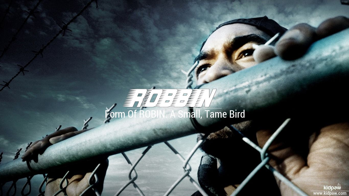 Robbin 3D Name Wallpaper for Mobile, Write Name on Photo Online