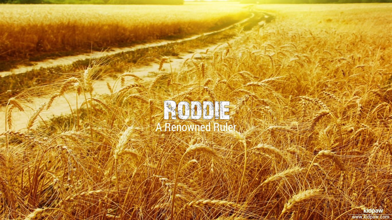Roddie 3D Name Wallpaper for Mobile, Write Name on Photo Online