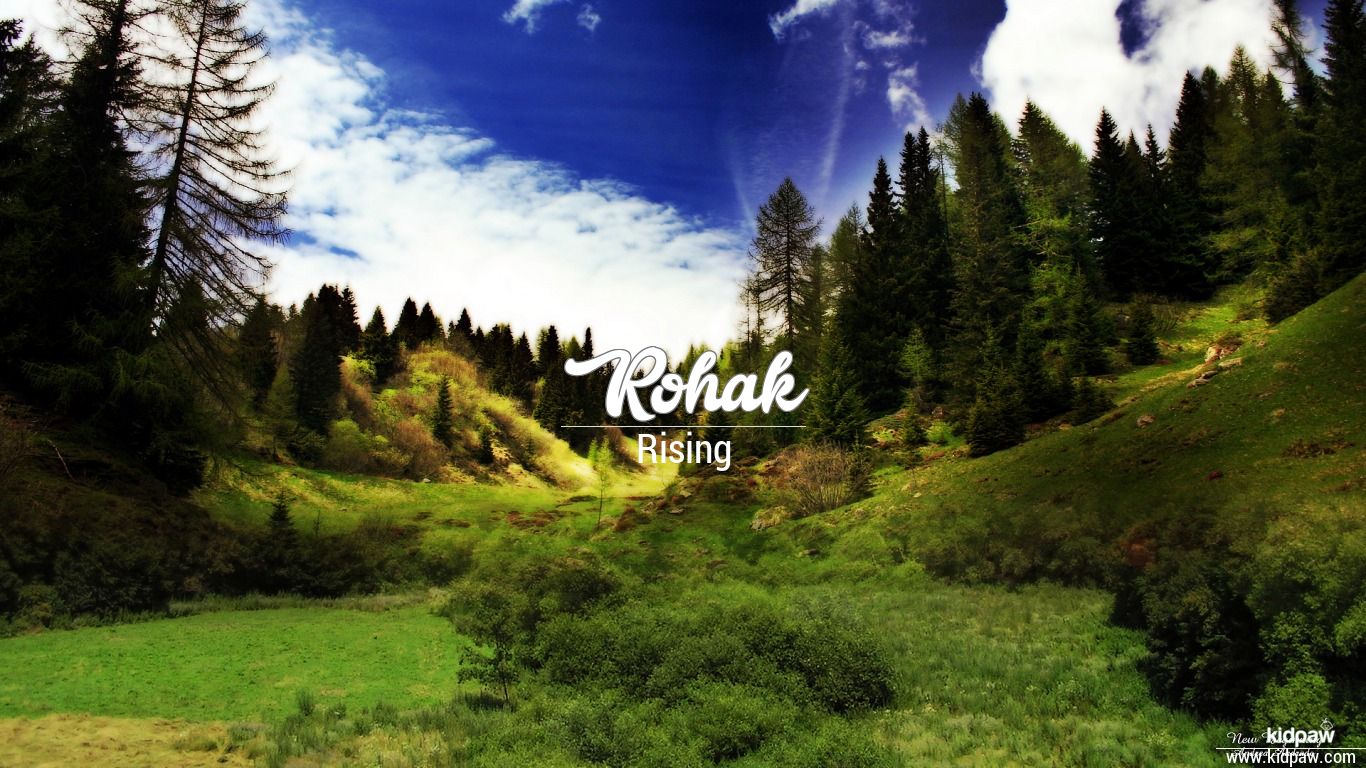 Rohak 3D Name Wallpaper for Mobile, Write रोधक Name on Photo Online