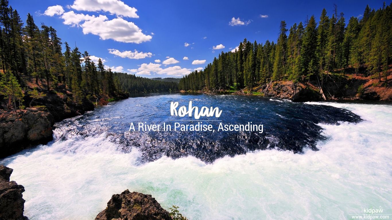 रोहन | Rohan Name Meaning in Hindi & English, Rashi, Nakshatra, Origin ...
