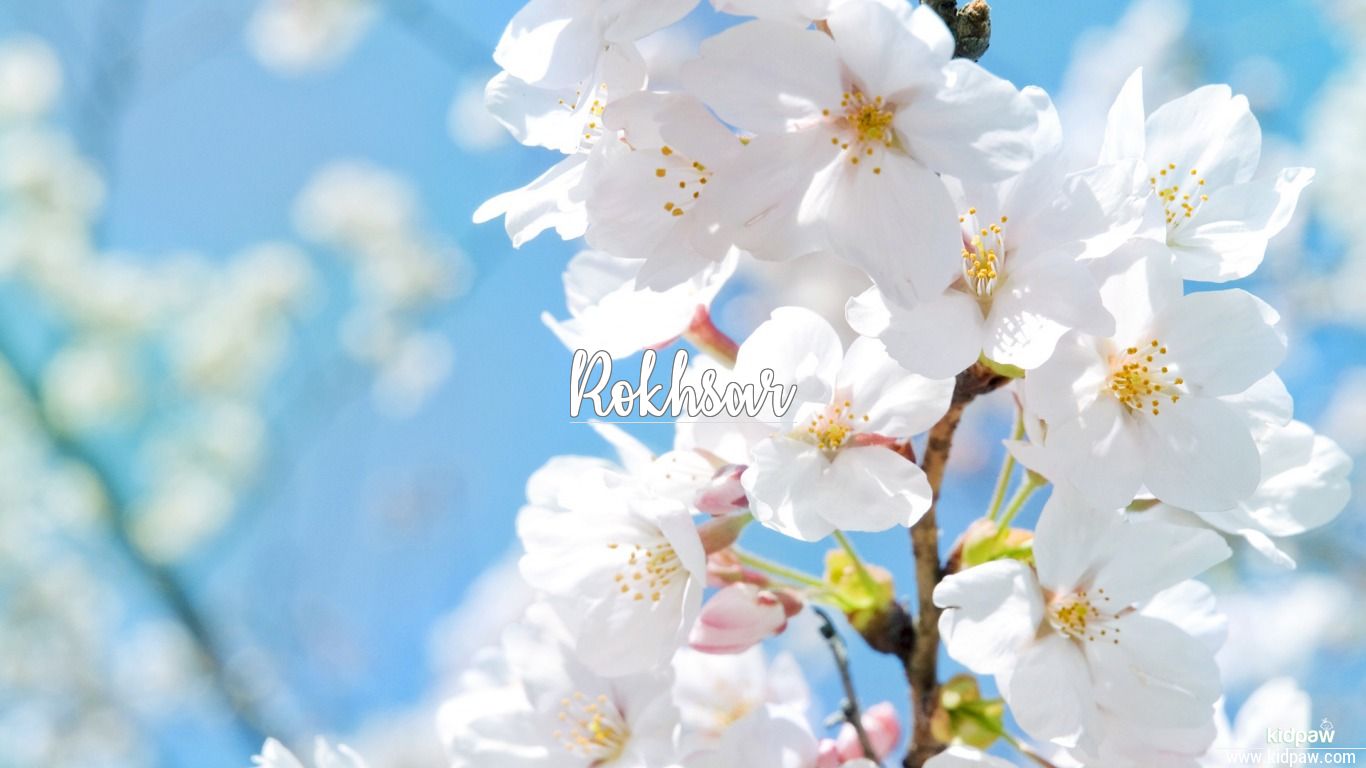 Rokhsar 3D Name Wallpaper for Mobile, Write Name on Photo Online