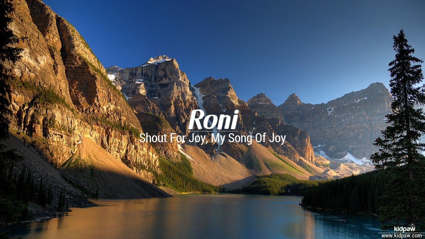Roni Name Meaning in Urdu نام کی تفصیل، لکی نمبر