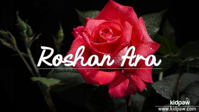 Roshan Ara Name Meaning in English & Urdu, Origin, Luck Number