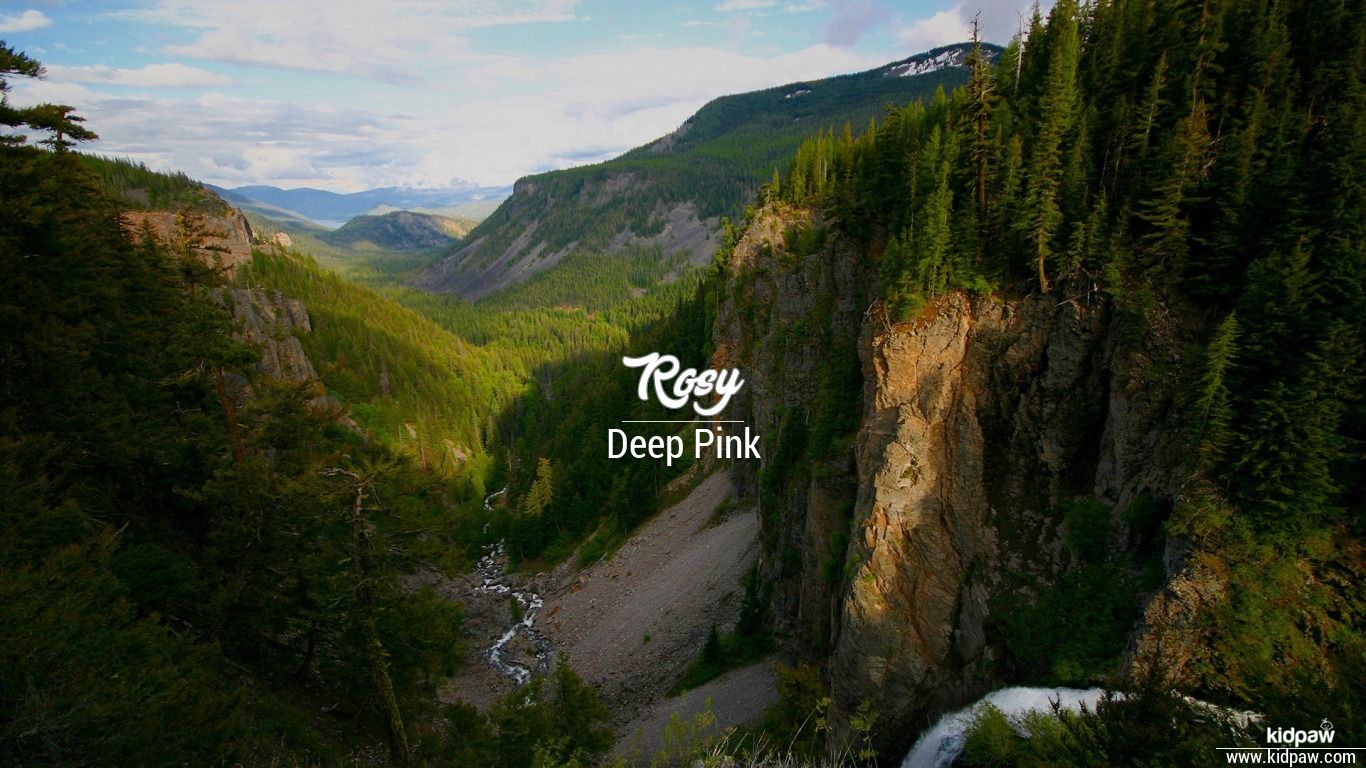 Rosy 3D Name Wallpaper for Mobile, Write Name on Photo Online