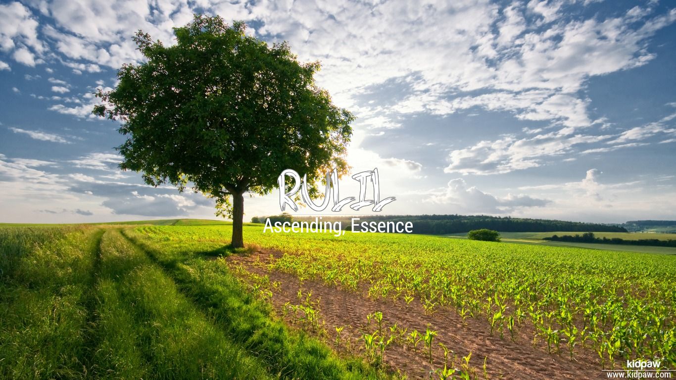 Rulil 3D Name Wallpaper for Mobile, Write रुलील Name on Photo Online