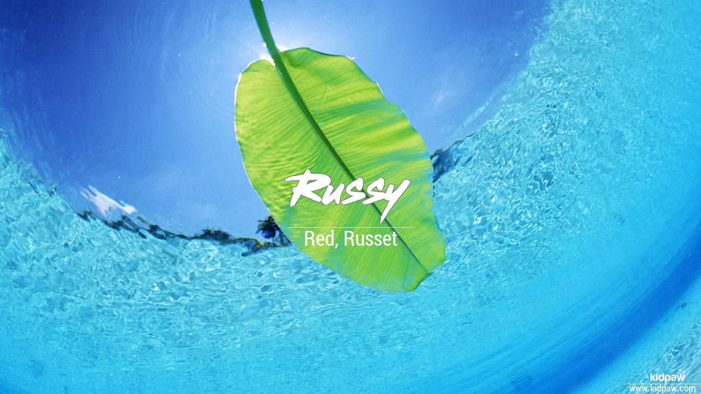 Russy 3D Name Wallpaper for Mobile, Write Name on Photo Online