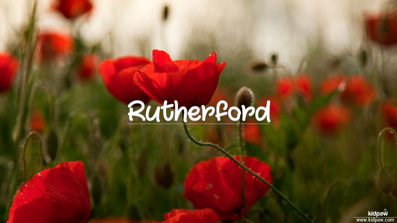 Rutherford 3D Name Wallpaper for Mobile, Write Name on Photo Online