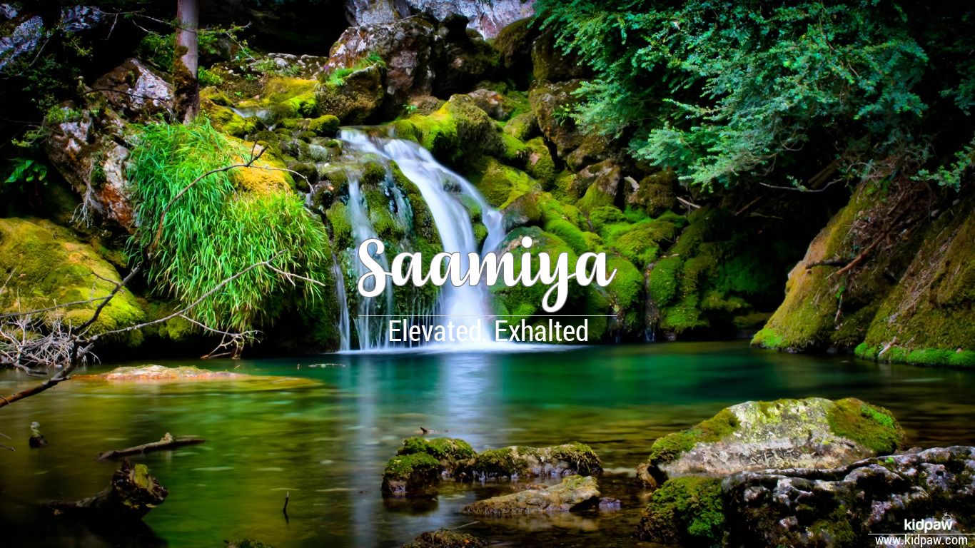 Saamiya 3D Name Wallpaper for Mobile, Write سامیہ Name on Photo Online