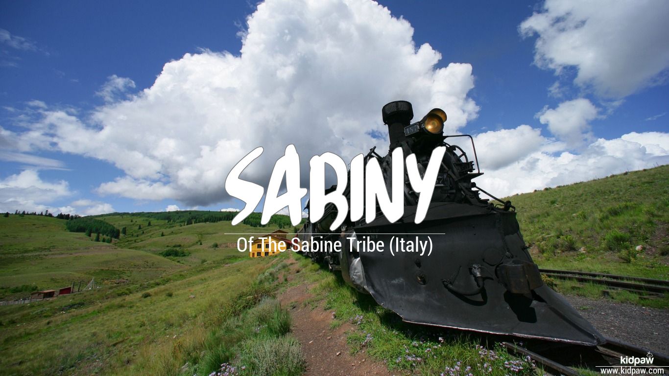 Sabiny 3D Name Wallpaper for Mobile, Write Name on Photo Online