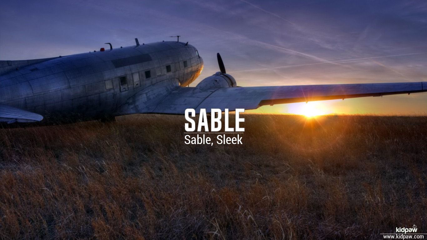 Sable 3D Name Wallpaper for Mobile, Write Name on Photo Online