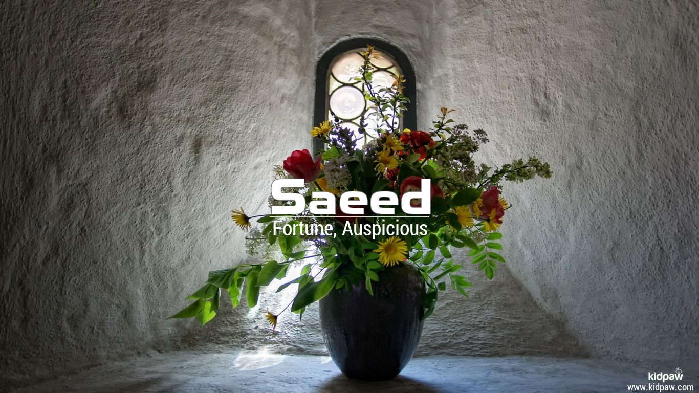 Saeed Name Meaning in English & Urdu, Origin, Luck Number