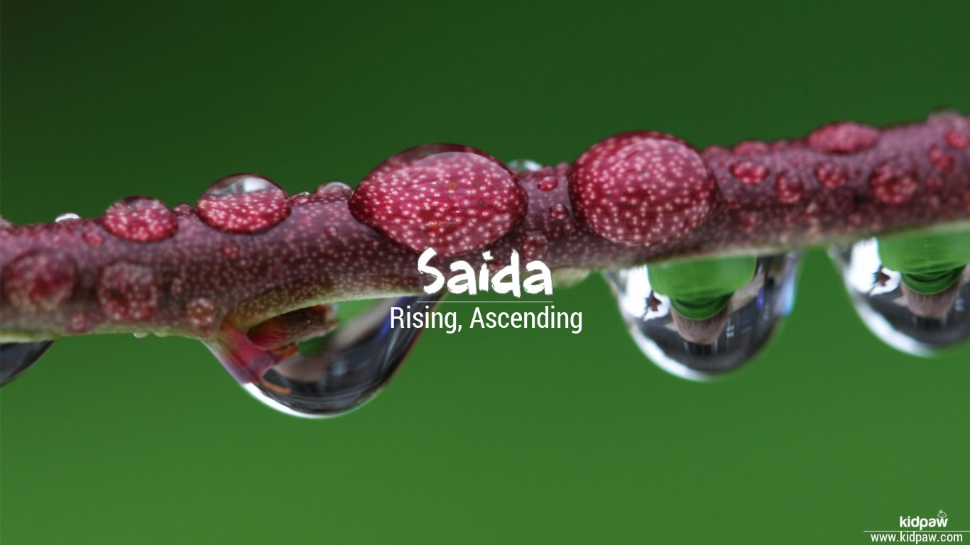 Saida Name Meaning in English & Urdu, Origin, Luck Number