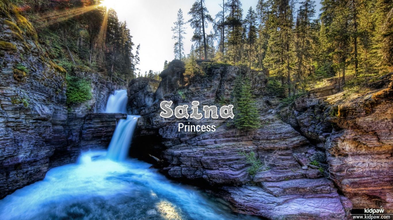 Saina 3D Name Wallpaper for Mobile, Write सैना Name on Photo Online