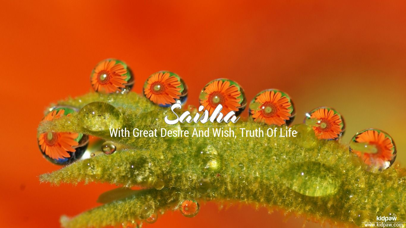 सैशा | Saisha Name Meaning in Hindi & English, Rashi, Nakshatra, Origin ...