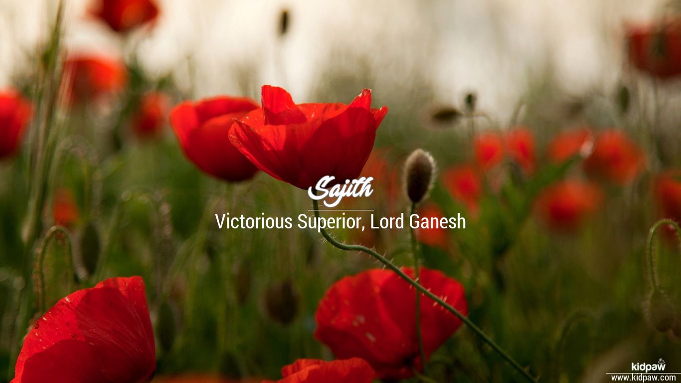 Sajith 3D Name Wallpaper for Mobile, Write साजित Name on Photo Online