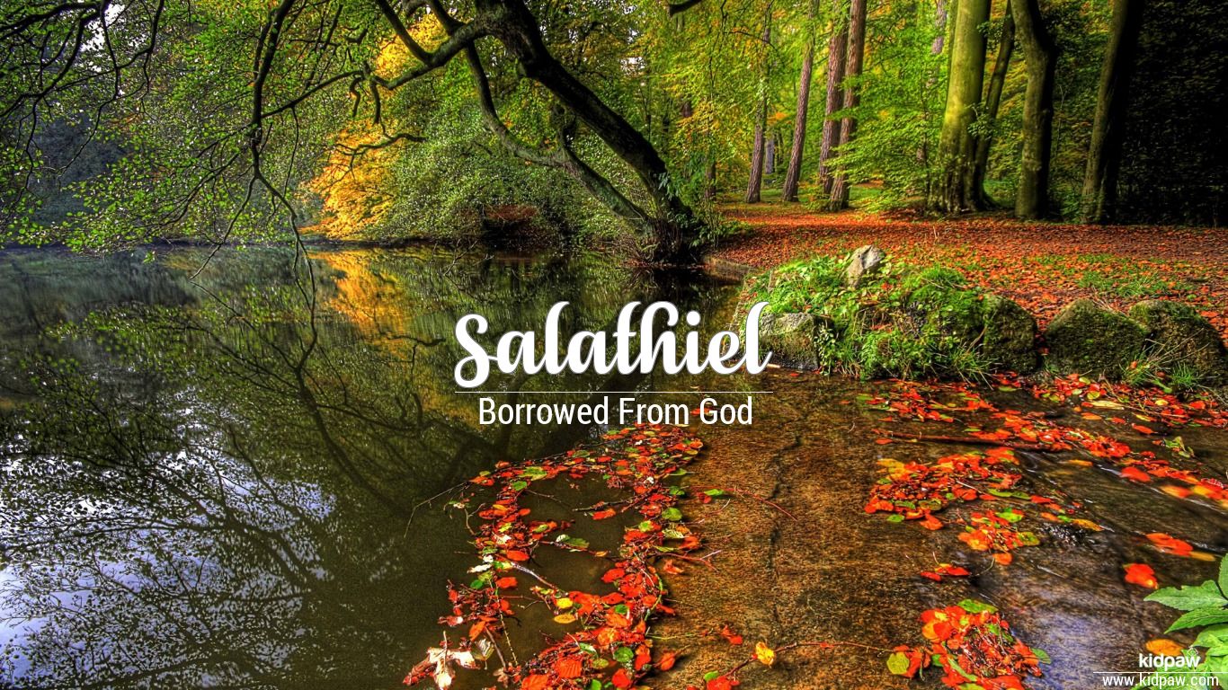Salathiel 3D Name Wallpaper for Mobile, Write Name on Photo Online