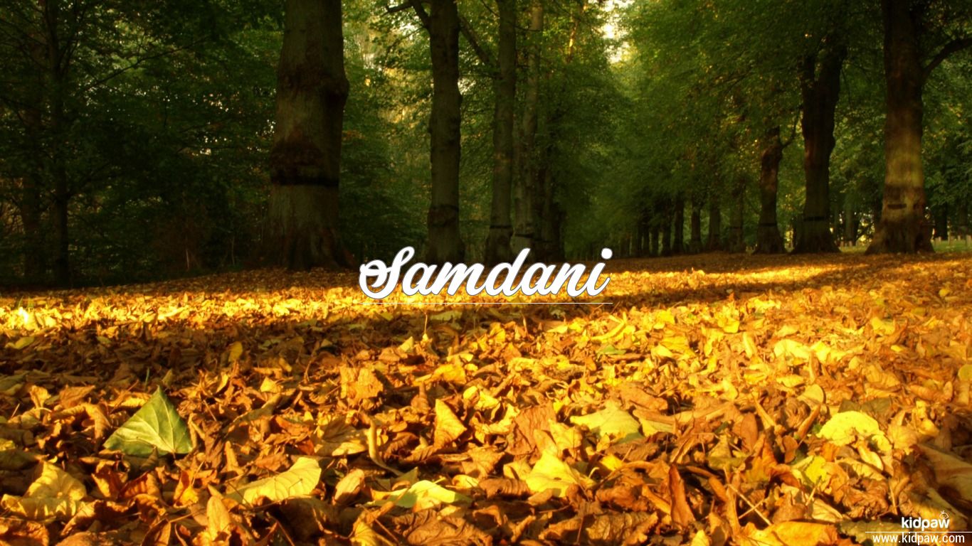 Samdani 3D Name Wallpaper for Mobile, Write Name on Photo Online