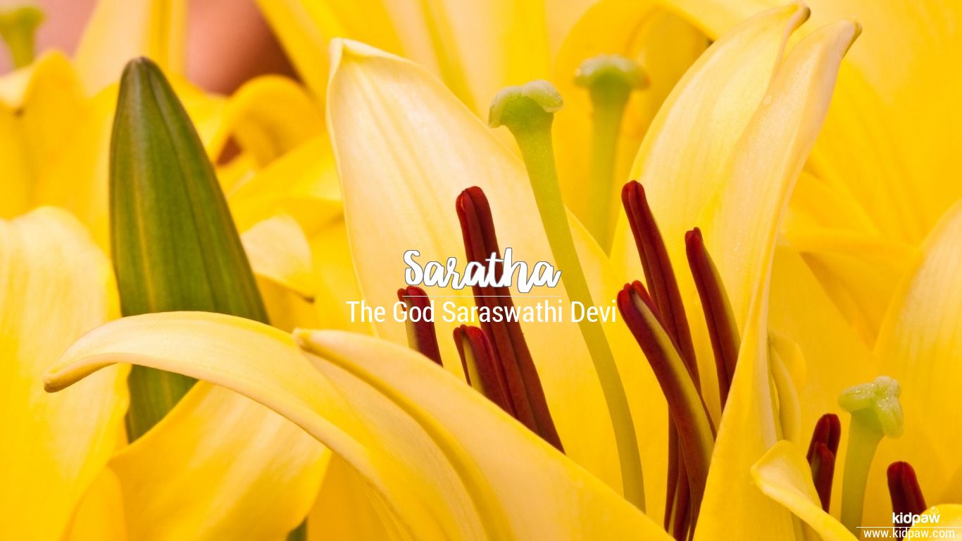 Saratha 3D Name Wallpaper for Mobile, Write सरथा Name on Photo Online