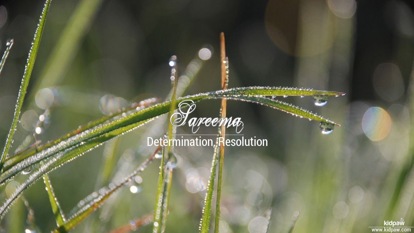 Sareema 3D Name Wallpaper for Mobile, Write صارمة Name on Photo Online