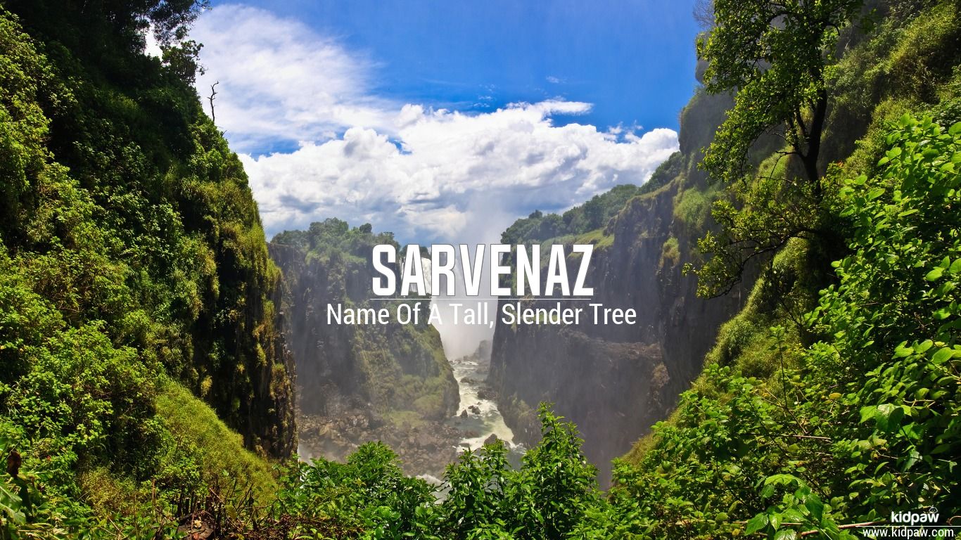 Sarvenaz 3D Name Wallpaper for Mobile, Write سرويناز Name on Photo Online