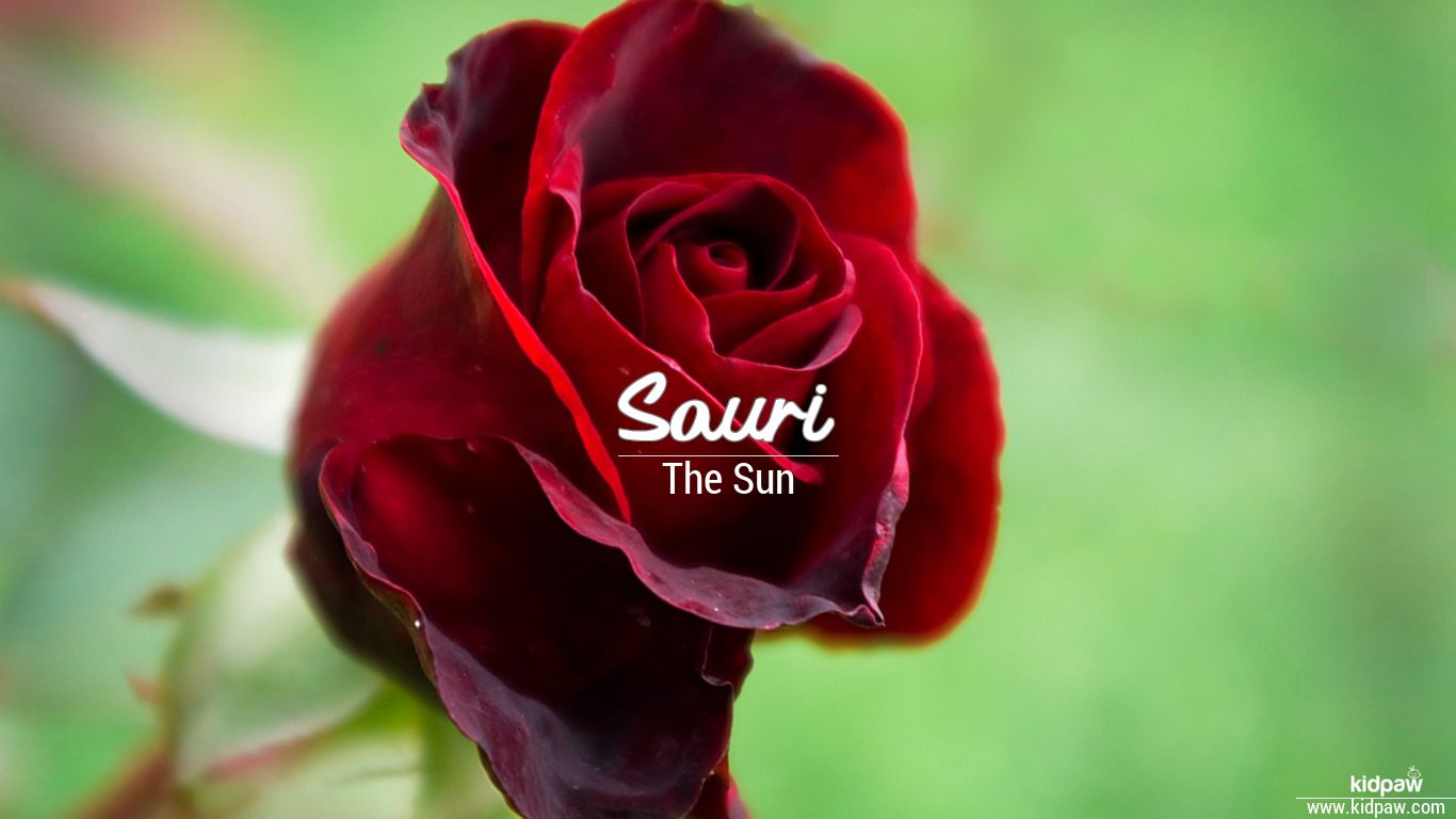 Sauri 3D Name Wallpaper for Mobile, Write सॉरी Name on Photo Online