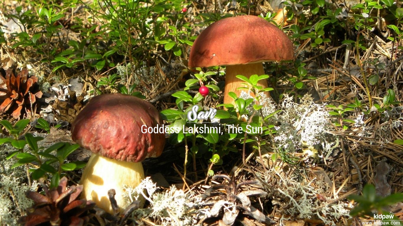 सवी | Savi Name Meaning in Hindi & English, Rashi, Nakshatra, Origin ...