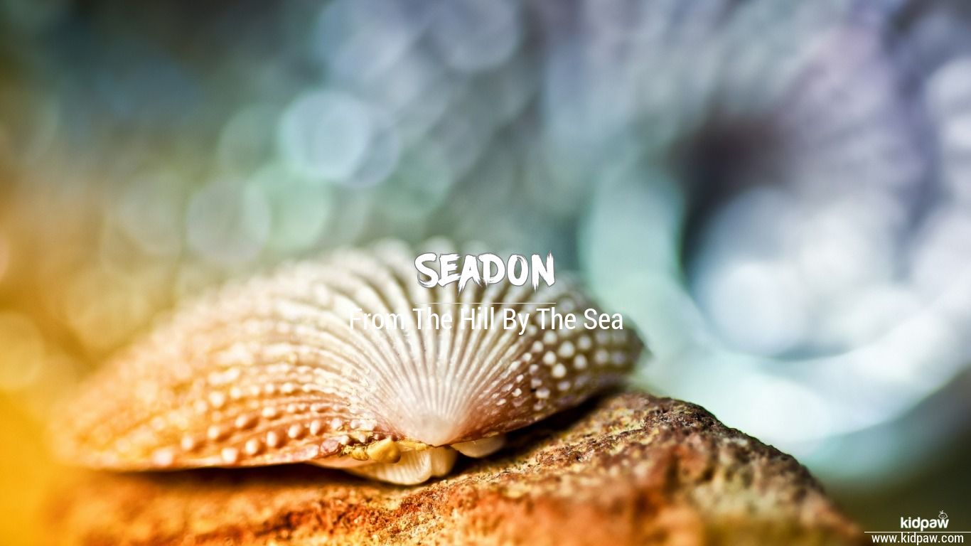 Seadon 3D Name Wallpaper for Mobile, Write Name on Photo Online