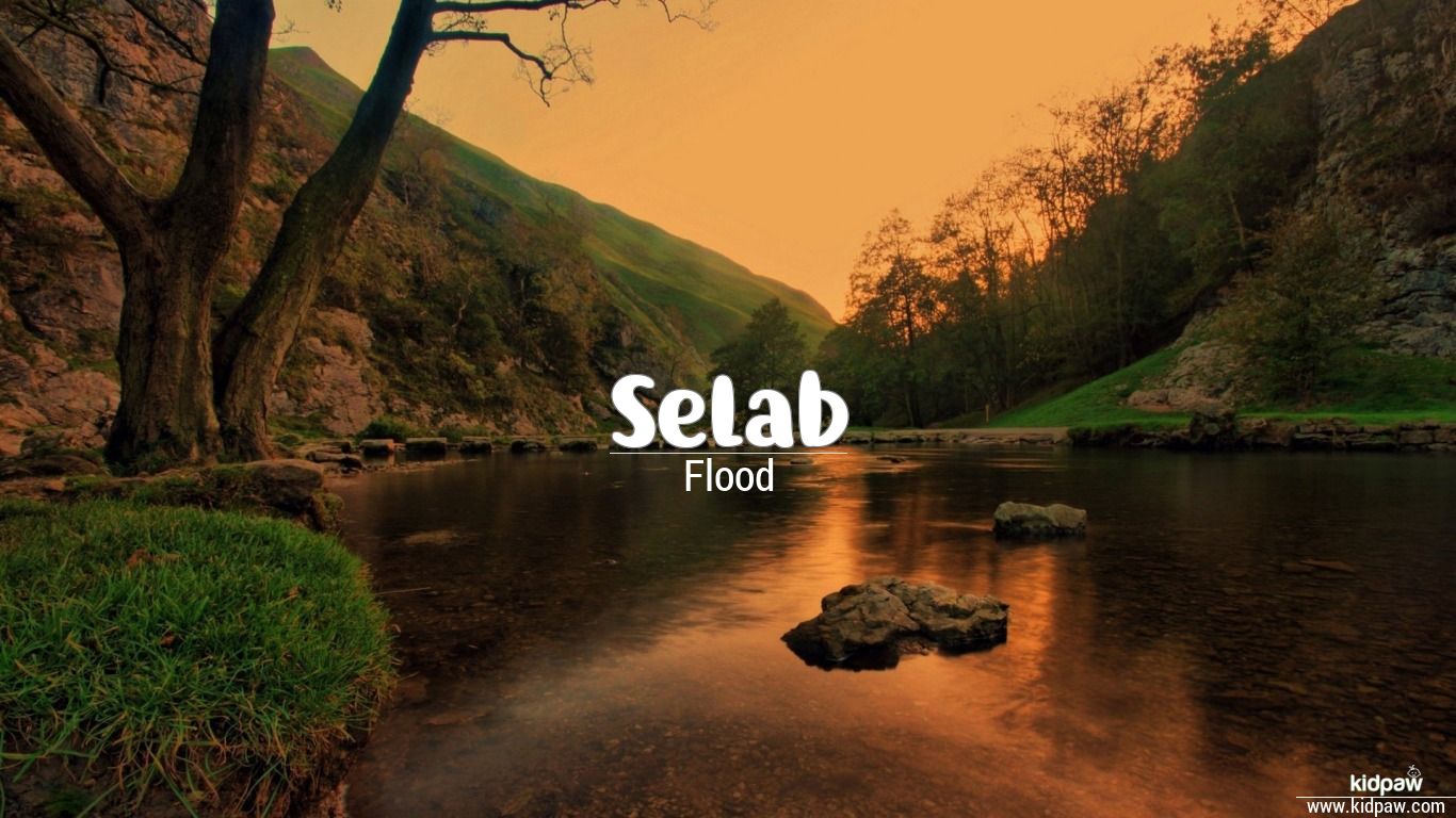 Selab 3D Name Wallpaper for Mobile, Write سلب Name on Photo Online