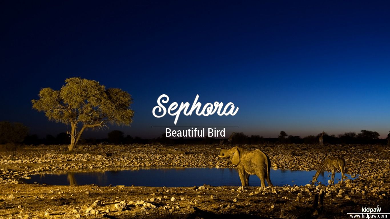 Sephora 3D Name Wallpaper for Mobile, Write Name on Photo Online