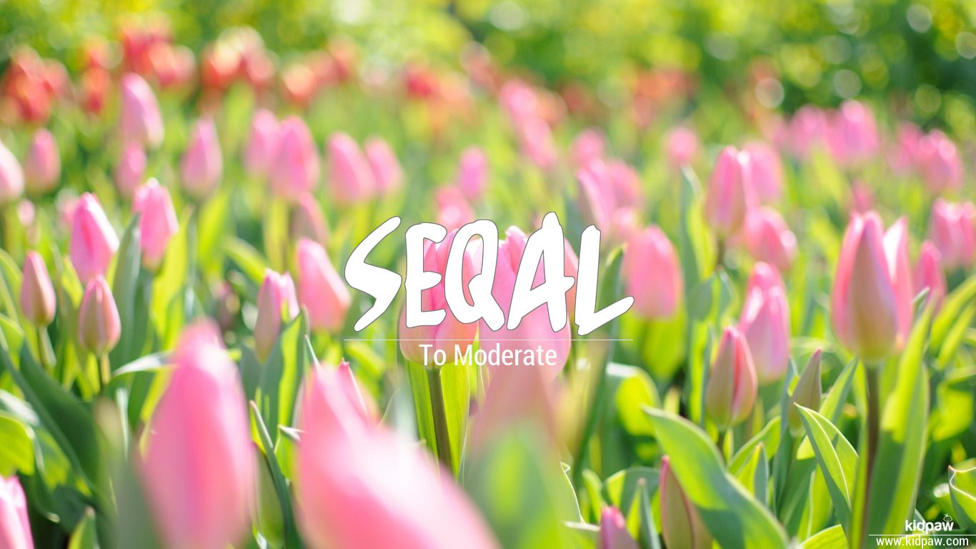 Seqal 3D Name Wallpaper for Mobile, Write Name on Photo Online