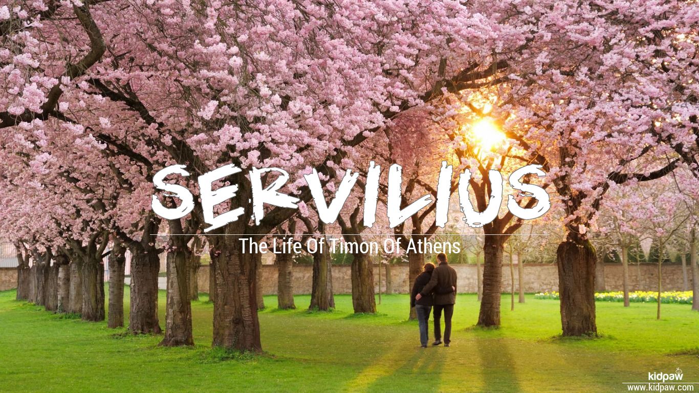 Servilius 3D Name Wallpaper for Mobile, Write Name on Photo Online