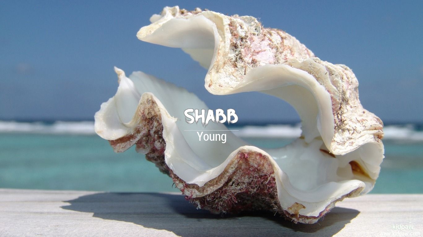 Shabb 3D Name Wallpaper for Mobile, Write سبب Name on Photo Online