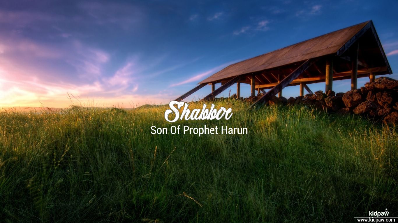 Shabbir Name Meaning in English & Urdu, Origin, Luck Number