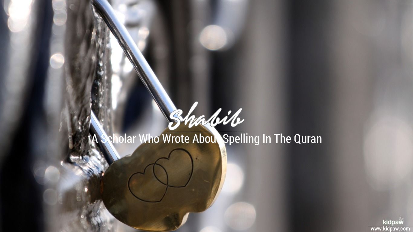 Shabib 3D Name Wallpaper for Mobile, Write شبیب Name on Photo Online