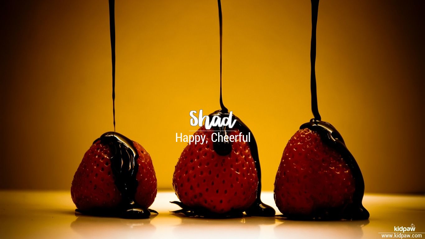 Shad 3D Name Wallpaper for Mobile, Write شاد Name on Photo Online