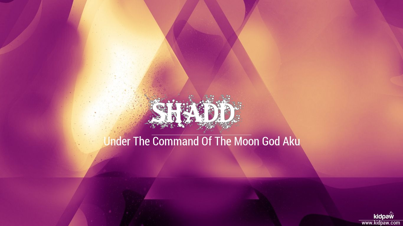 Shadd 3D Name Wallpaper for Mobile, Write Name on Photo Online